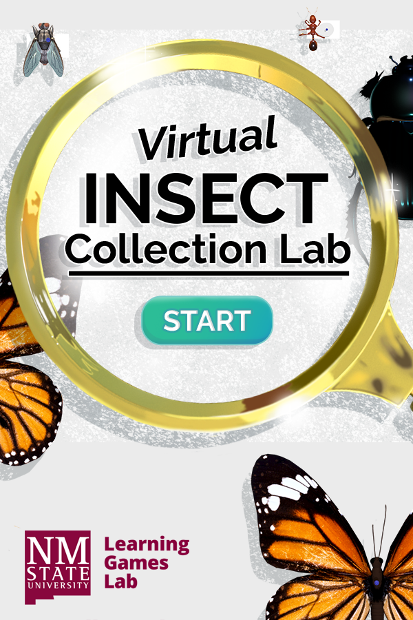 Virtual Insect Collection Lab